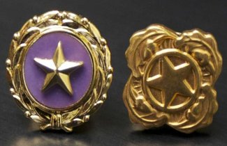 The Vintage Motor Car Club of America